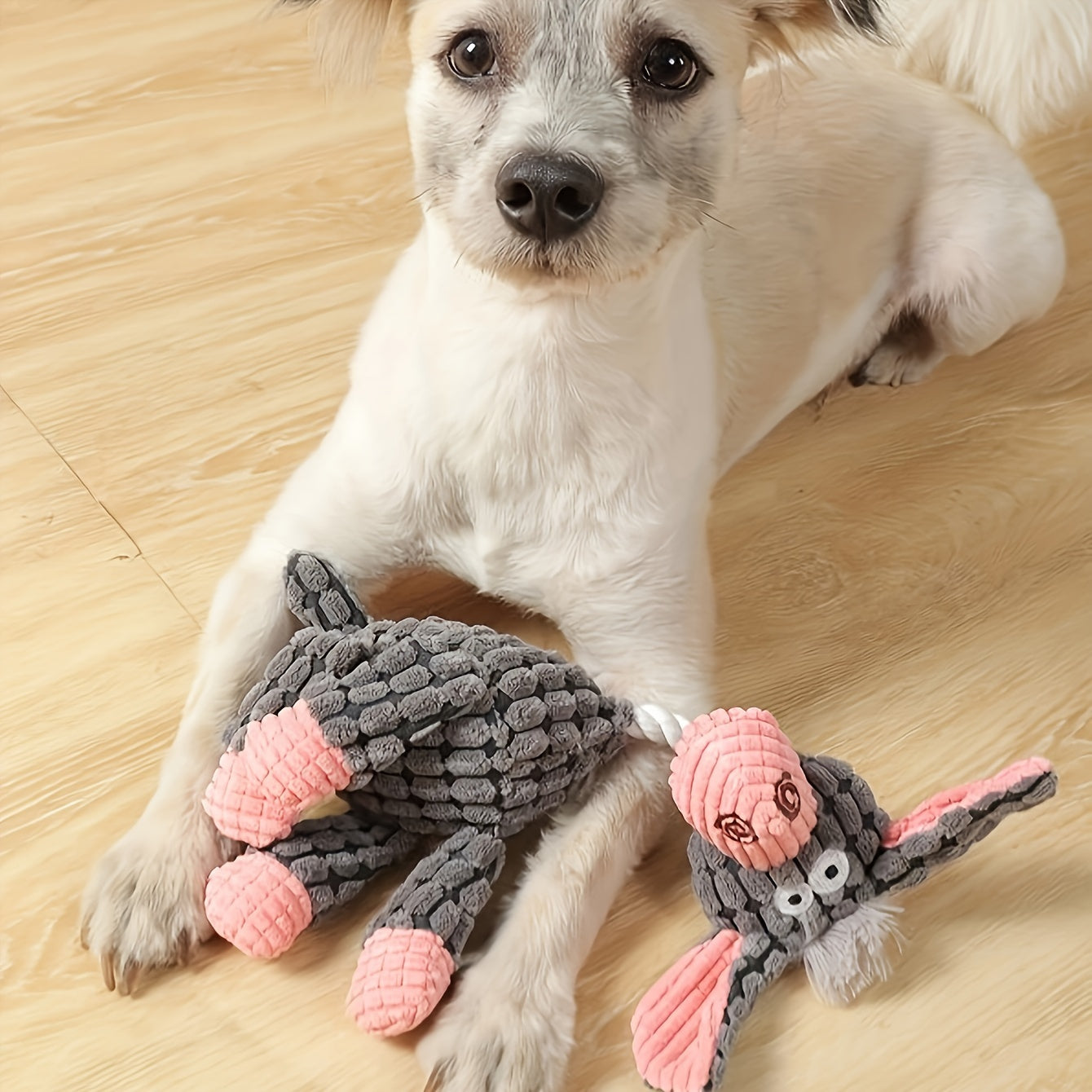 Top Dog Toys: Engage Your Pup with Durable Playthings