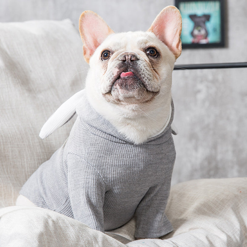 “supdog: Premium Dog Products for Happy Tails | Shop Now!”
